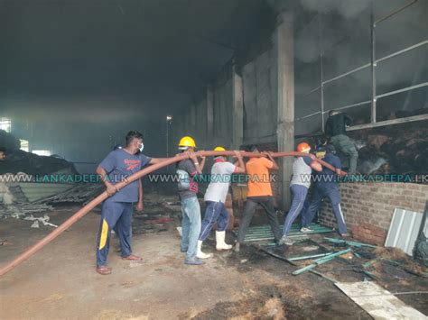 අම්පාර කොහු කම්හලක විශාල ගින්නක් Lankadeepa Online