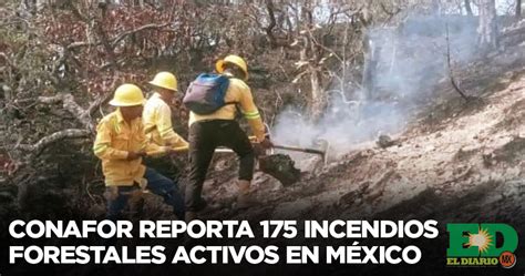 Conafor Reporta 175 Incendios Forestales Activos En México