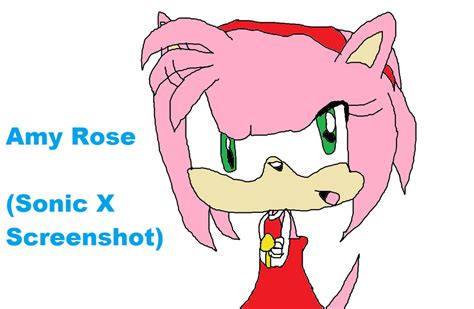Amy Rose Sonic X By Derpyfan888 On Deviantart