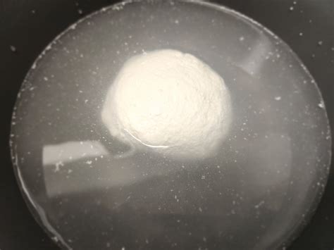 모짜렐라 치즈 만들기