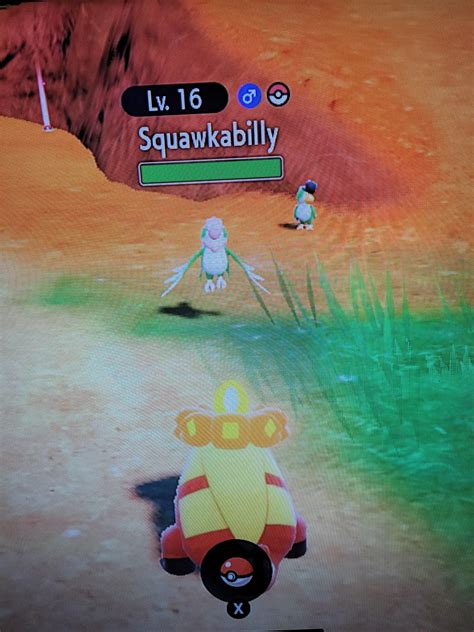 [gen9] For Anyone Wondering What A Shiny Squawkabilly Looks Like R