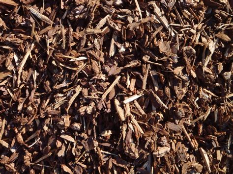 Pathway Bark Kimberly Nurseries