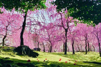 絶景事典日本や世界の絶景をシェアする写真投稿サイト