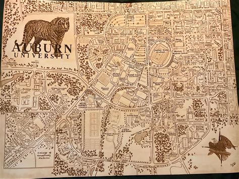 Auburn University Campus Map Fine Art Print Etsy