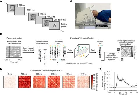 Decoding The Temporal Structures And Interactions Of Multiple Face