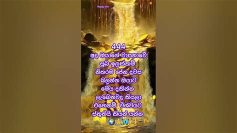 අද ඔයාගෙ වාසනාවේ දවස 🦋 ස්තුතියි විශ්වයට 🦋🙏🌍 Youtube