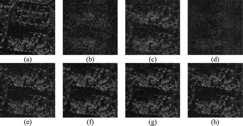 Image Results Of The Deception Jamming Signals Generated By Different Download Scientific
