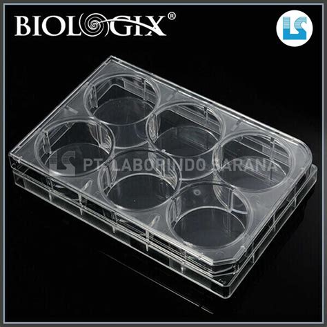 Jual Multi Well Cell Culture Plate 6 Well Microplate Sterile Biologix Shopee Indonesia