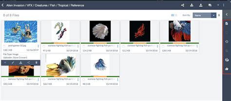 Asset And Package Viewer · Learning And Support Docs