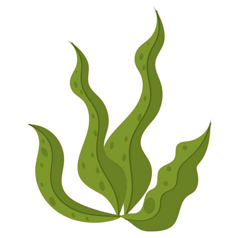 Algae Vector Art Icons And Graphics For Free Download