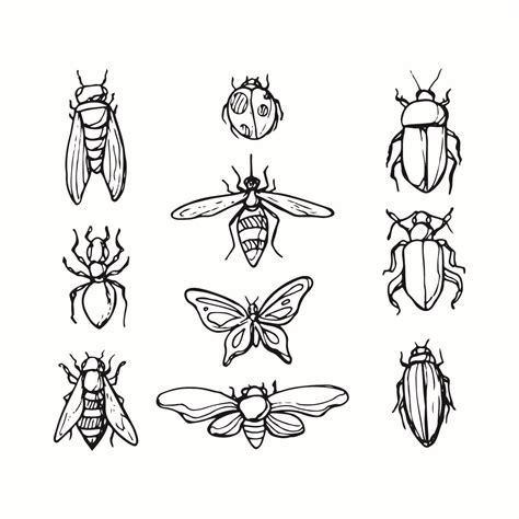 Free Sketch Insect Icon Vector 165209 Vector Art At Vecteezy