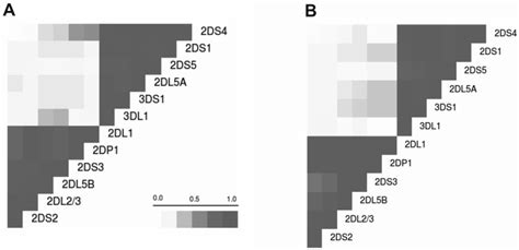 Pairwise D LD Based On Cramer S V Correlation Coefficient Between Download Scientific