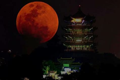 散文隨筆月夜之美原創 每日頭條