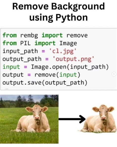 Python Programming Beginners