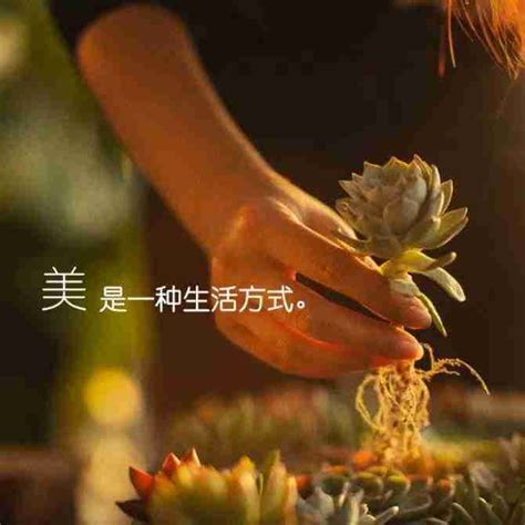 质子化是什么意思 百度知道