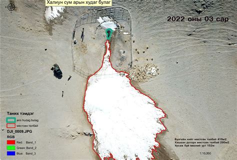 Wwf Mongolia Цасанд дарагдан өвлийг аниргүй өнгөрүүлдэг байсан булгийн эхийг хамгаалснаар