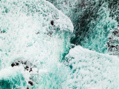 Fascinating Fun Facts Delve Into Ariel S Enchanting World And Meet Her