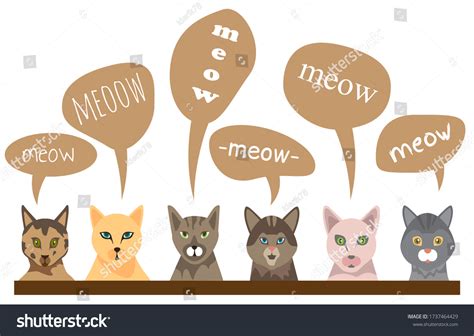 Funny Cats Text Meow Flat Style Stock Vector Royalty Free 1737464429