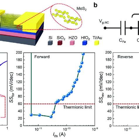 Pdf Direct Growth Of Orthorhombic Hf0 5zr0 5o2 Thin Films For Hysteresis Free Mos2 Negative