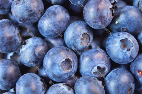 내 저장에 있는 핀