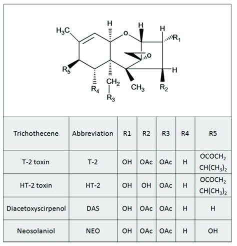 Structures Of Type A Trichothecenes Download Scientific Diagram