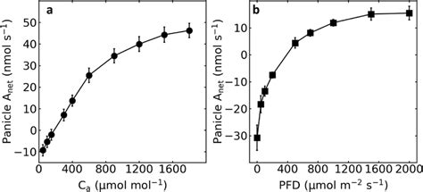 Panicle Photosynthetic Co2 Response Curve A And Light Response Curve