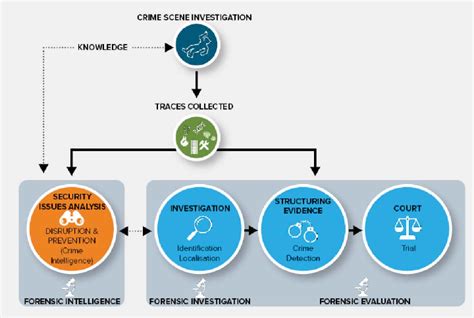 The Other Roles Of Forensic Intelligence Adapted From Ribaux Et Al