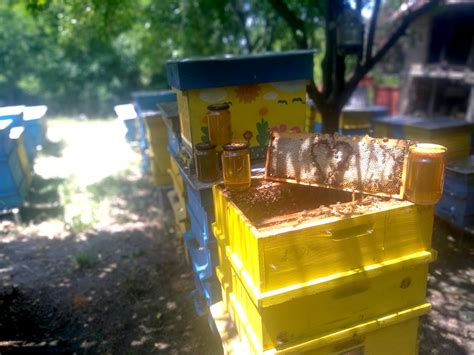 Внимание чупливо Начинът на хранене и начинът ви на живот имат пряко