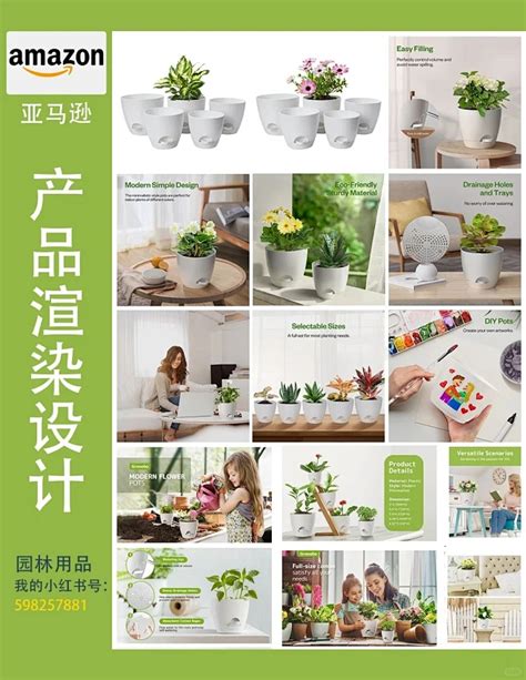 亚马逊园林花盆1黑眼圈大神来自小红书网页版 花瓣网