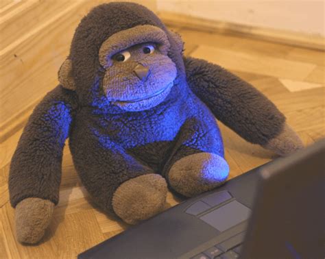 How To Fix A DNS Server Problem For A Windows XP Or Vista PC HubPages