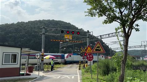 조치원 철길건널목 무궁화호 교차영상 Youtube
