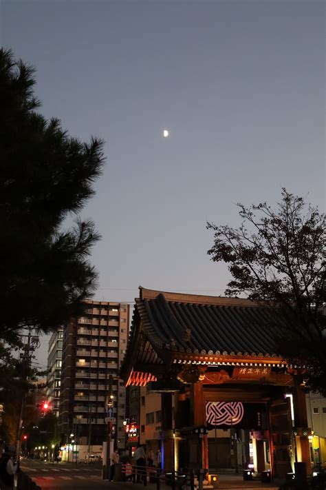 博多旧市街ライトアップウォーク2022 千年煌夜 内覧会 博多の魅力