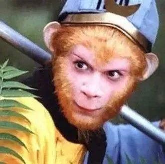 孙悟空这段话唤醒了很多人 圈子 天下 人生