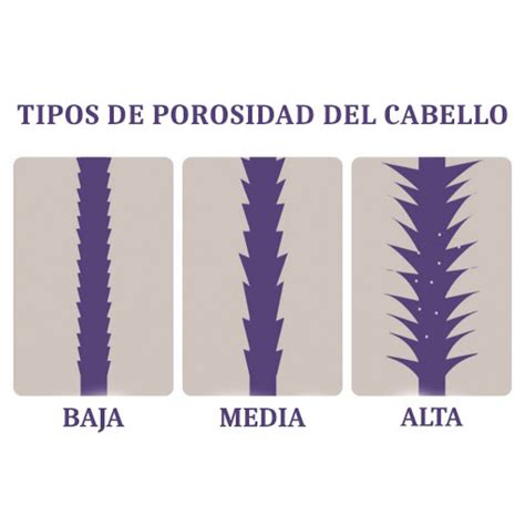 Todo Lo Que Necesitas Saber Sobre La Porosidad Del Cabello