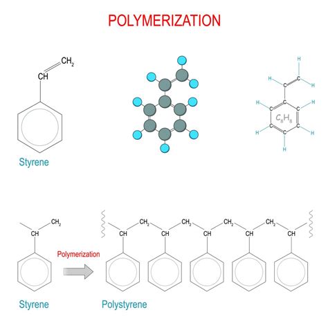 Different Types Of Chain Polymerization At Amy Kent Blog