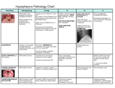 Hypopharynx Neck Mucosal Neoplasms Pathology Chart Hypopharynx