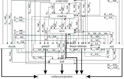 Flow Chart Showing All Types Of Hydrometeors And The Microphysical Download Scientific Diagram