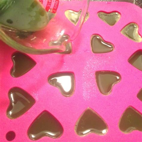 How To Make Fresh Frozen Wheatgrass Blender Method Bc Guides