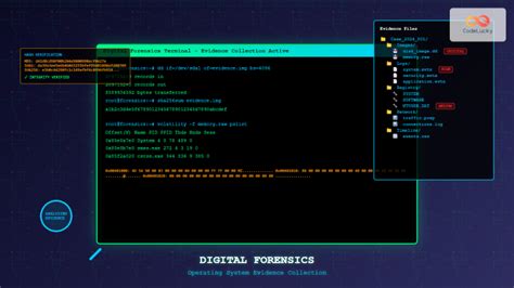 Dhcp Configuration Complete Guide To Dynamic Ip Address Assignment Codelucky