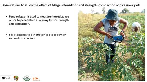 Evaluation Of Agronomic Practices On Growth Yield Of Cassava And Some Physical Properties Of