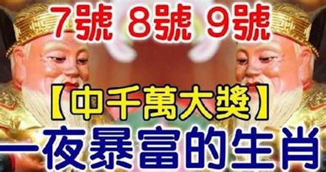 6月7號8號9號有望中千萬大獎，接住必一夜暴富的生肖