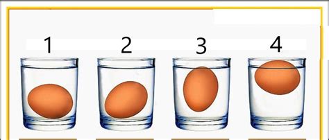 სანამ კვერცხების შეღებვას დაიწყებთ შეამოწმეთ ახალია თუ არა