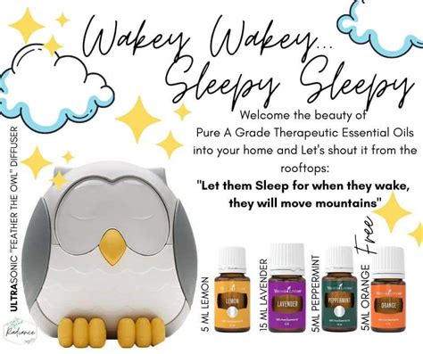 Our Owl Diffuser Is Back In Stock Blossom Beauty By Jacq Facebook