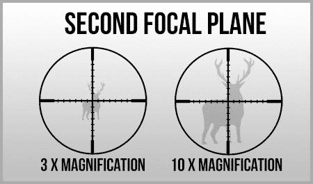 Rifle Scopes 101 How To Choose A Rifle Scope Guide Scopes Field