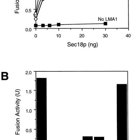 Specific Down Regulation Of Protein Levels And Pkc ζ Activity By