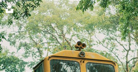 숲을 여행하는 노란색과 검은색 기차 사진 Unsplash의 무료 고아 이미지