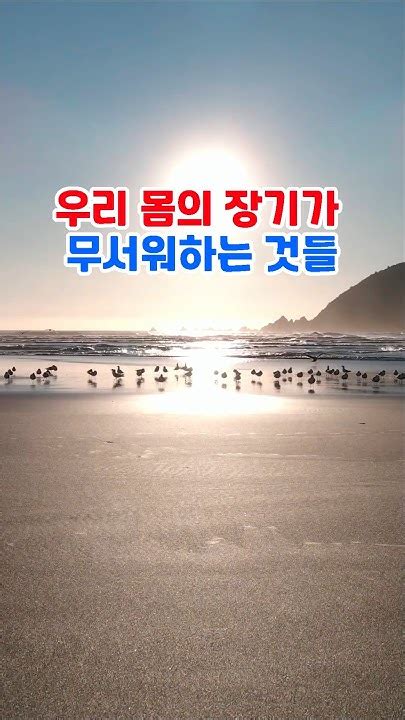 우리몸의 장기가 무서워 하는것들 장기심장신체신장대장 Youtube