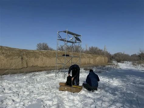 北庭学研究院联合开展北庭故城遗址积雪突融监测 北庭故城遗址
