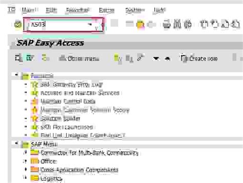 T Code AW01N Display Asset Values