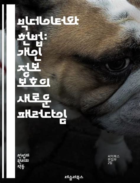 빅데이터와 헌법 개인 정보 보호의 새로운 패러다임 빅데이터 헌법 개인 정보 보호 프라이버시 데이터 소유권 알고리즘 디지털 권리 법적 책임 정부 감시